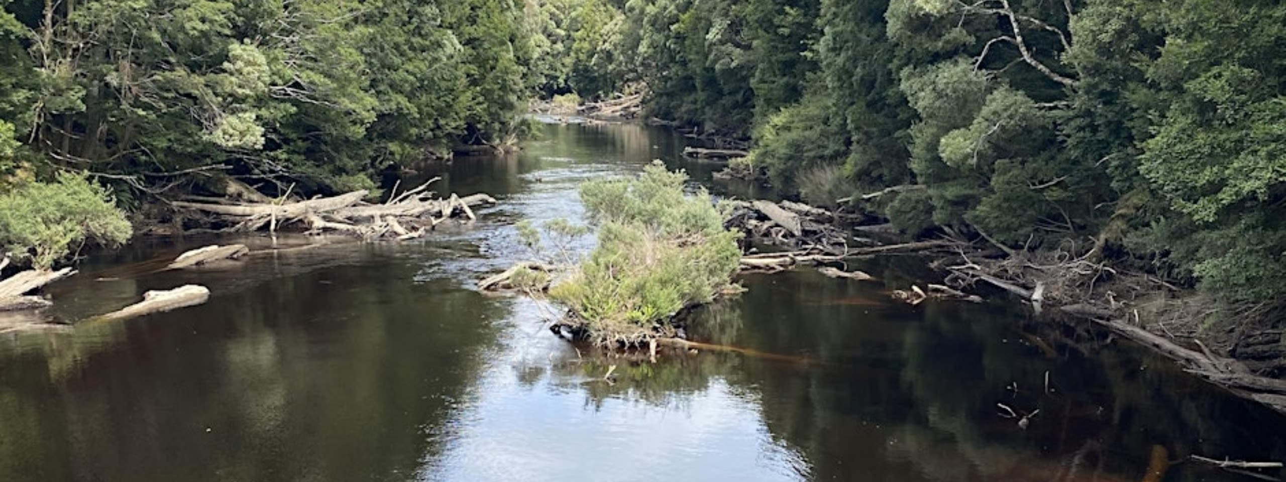 Book Launch: Dark Botany & The Hydrocene | City of Sydney - What’s On