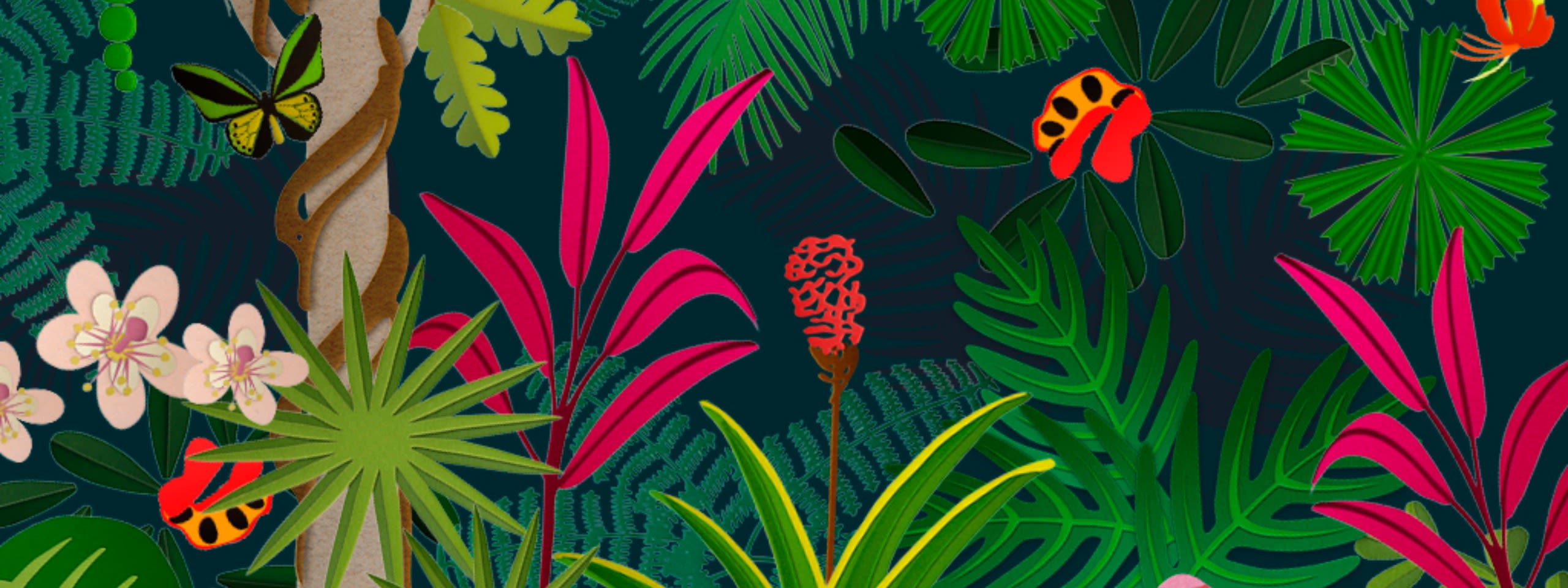 Alchemy of a Rainforest exhibition | City of Sydney - What’s On