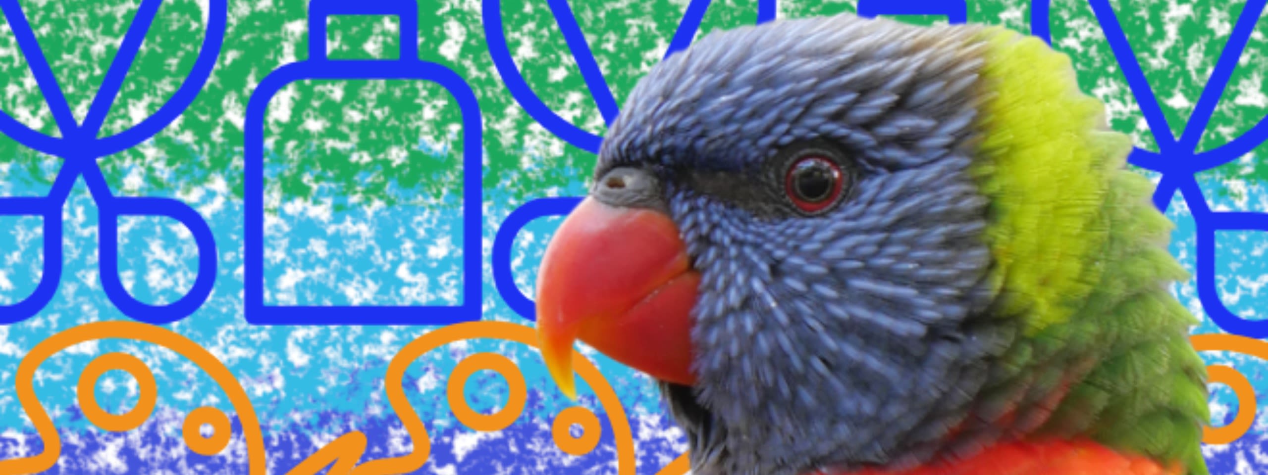 Celebrate National Bird Week and the Aussie Bird Count | City of Sydney ...