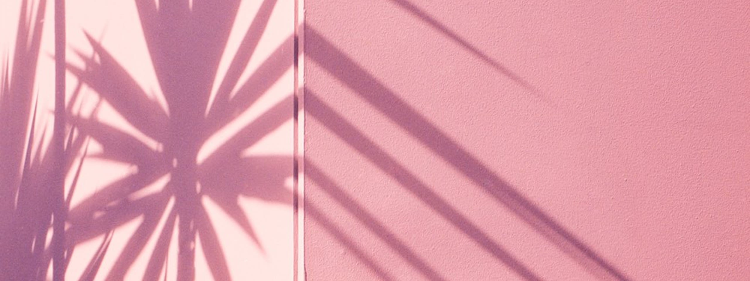 Pink: Kyle Hoffman | City of Sydney - What’s On