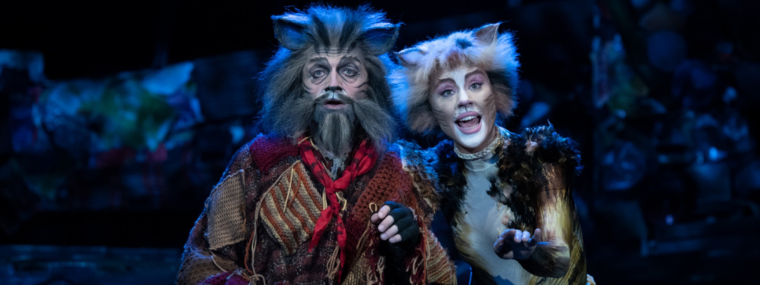 Cats | City of Sydney - What’s On