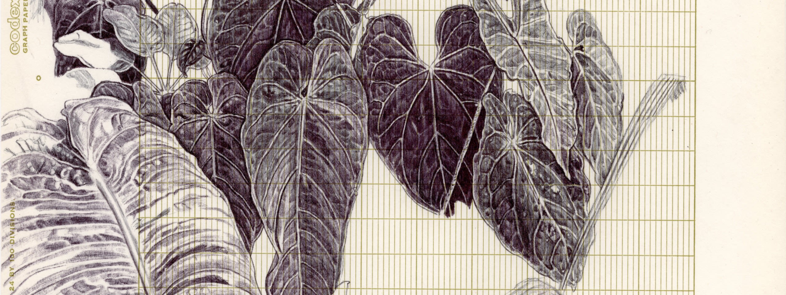 Neva Hosking: Behind the wheel, in front of the storm. | City of Sydney ...