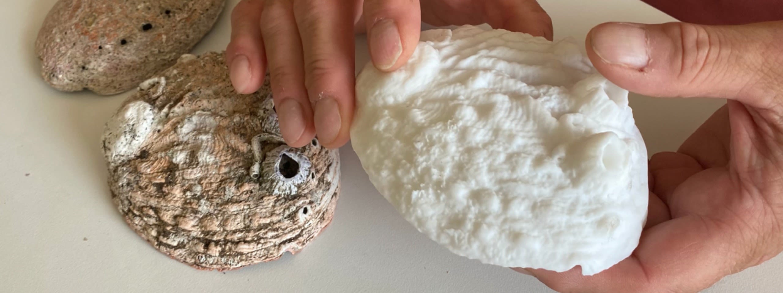 Handling Models: for those who are blind or have low vision | City of ...