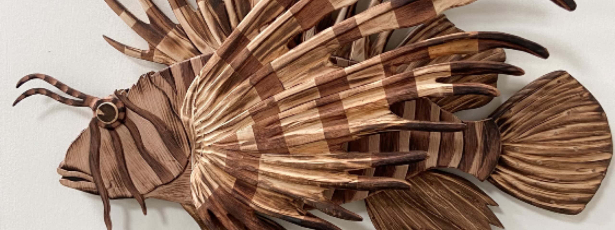 Craft NSW Exhibition | City of Sydney - What’s On