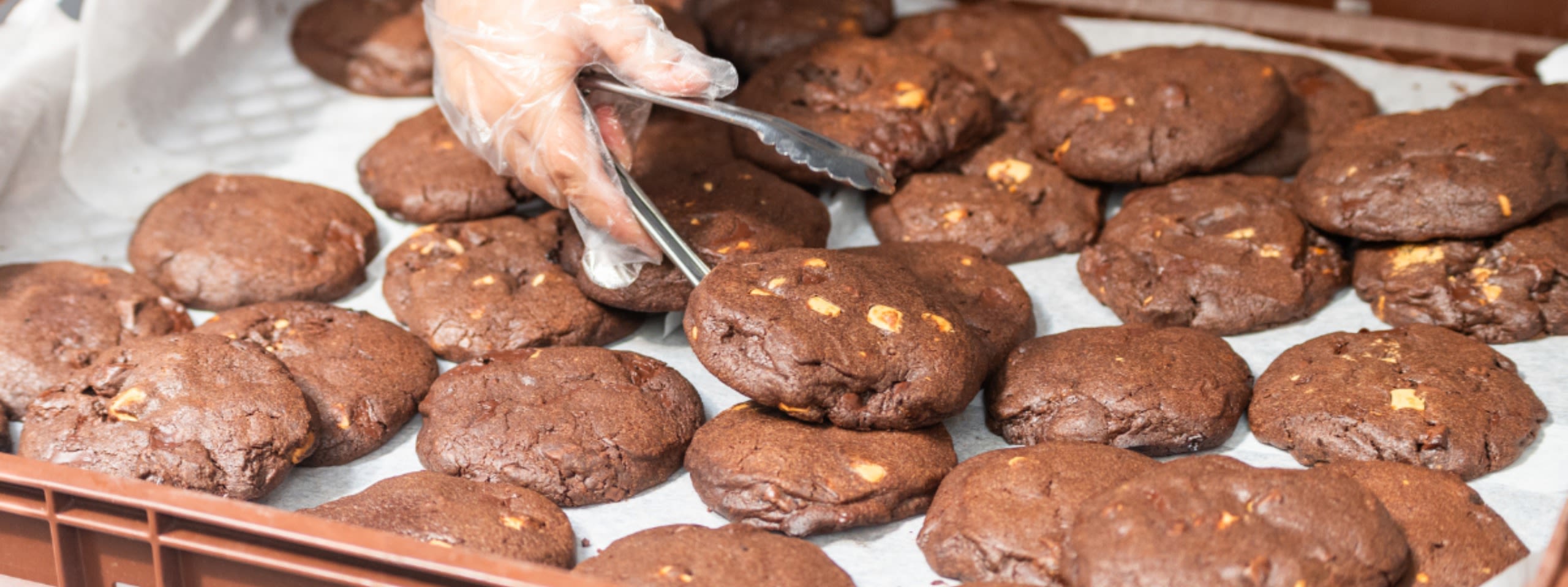 Bondi Festival Food Markets | City of Sydney - What’s On