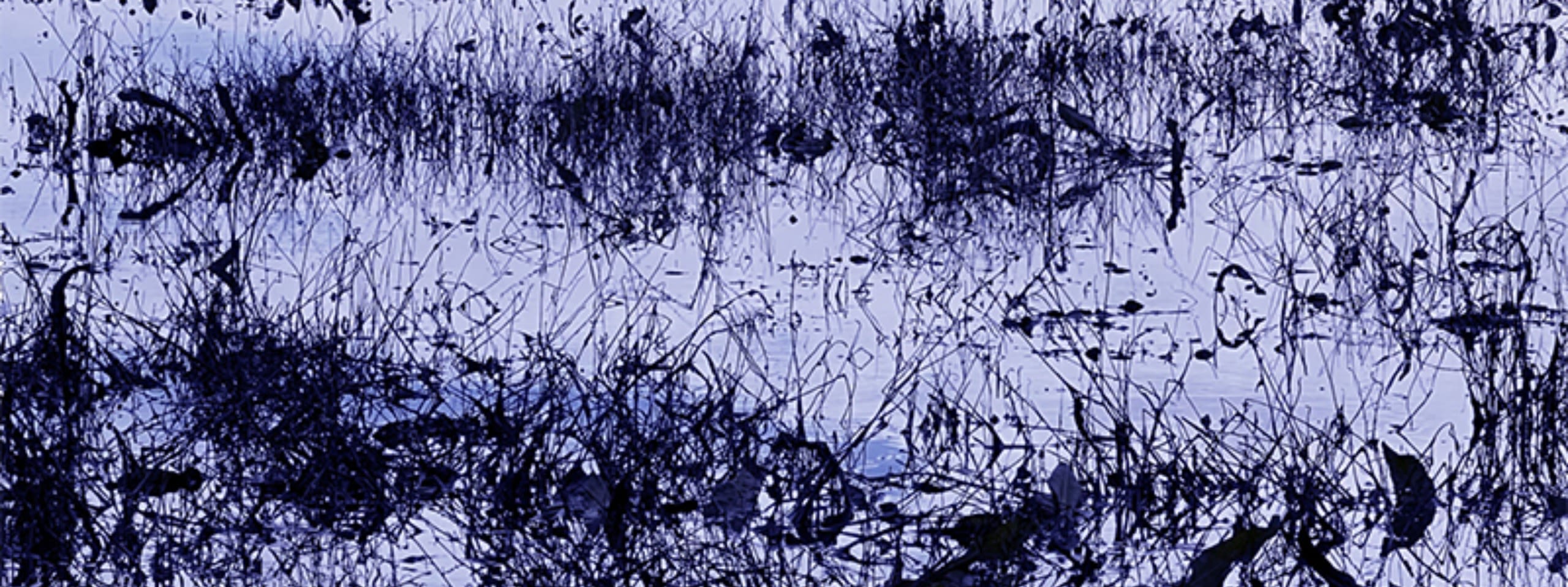 WaterTalks Exhibition | City of Sydney - What’s On