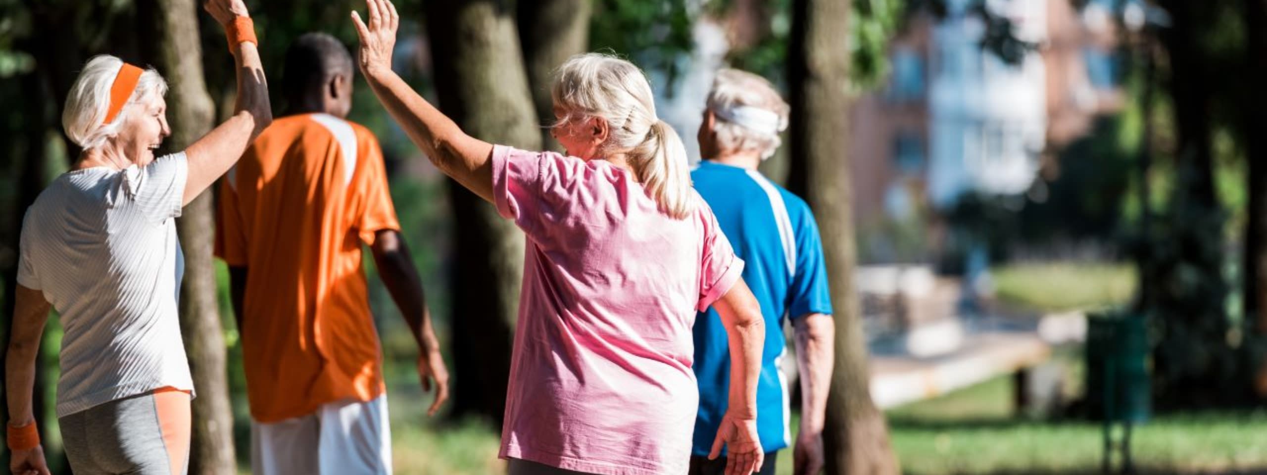 Perry Park walking group | City of Sydney - What’s On