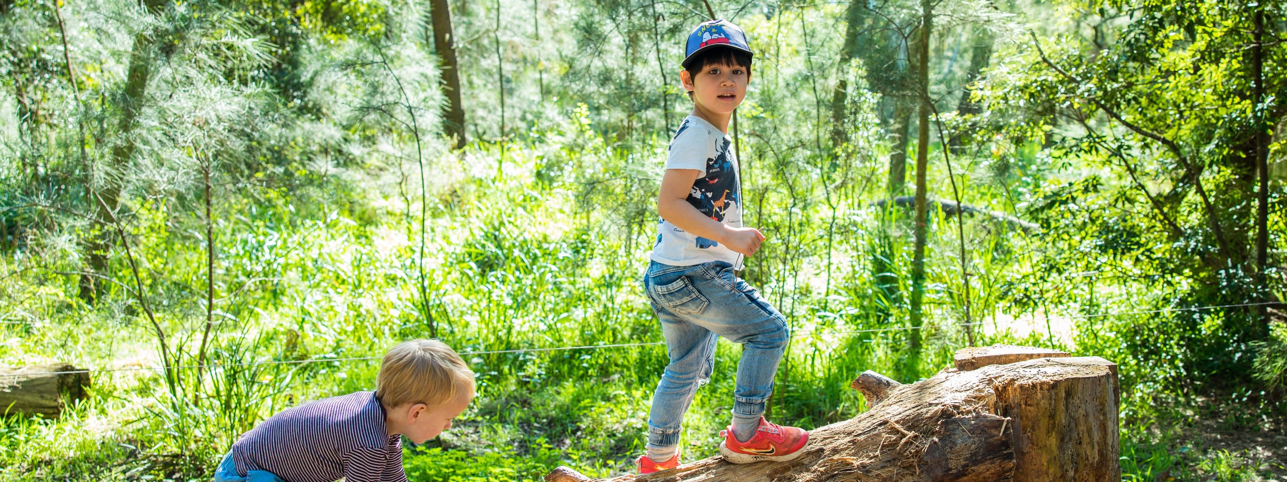 Book of Bush School Play Day | City of Sydney - What’s On