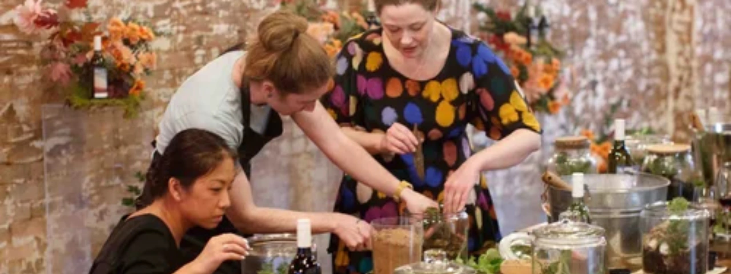 Rainforest Terrarium Workshop Glebe Sydney | City of Sydney - What’s On