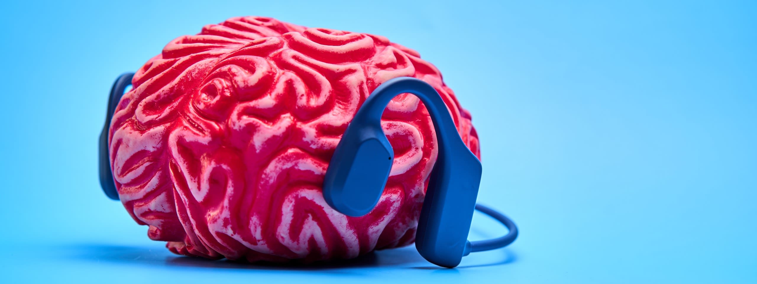 Protect your hearing, protect your brain | City of Sydney - What’s On