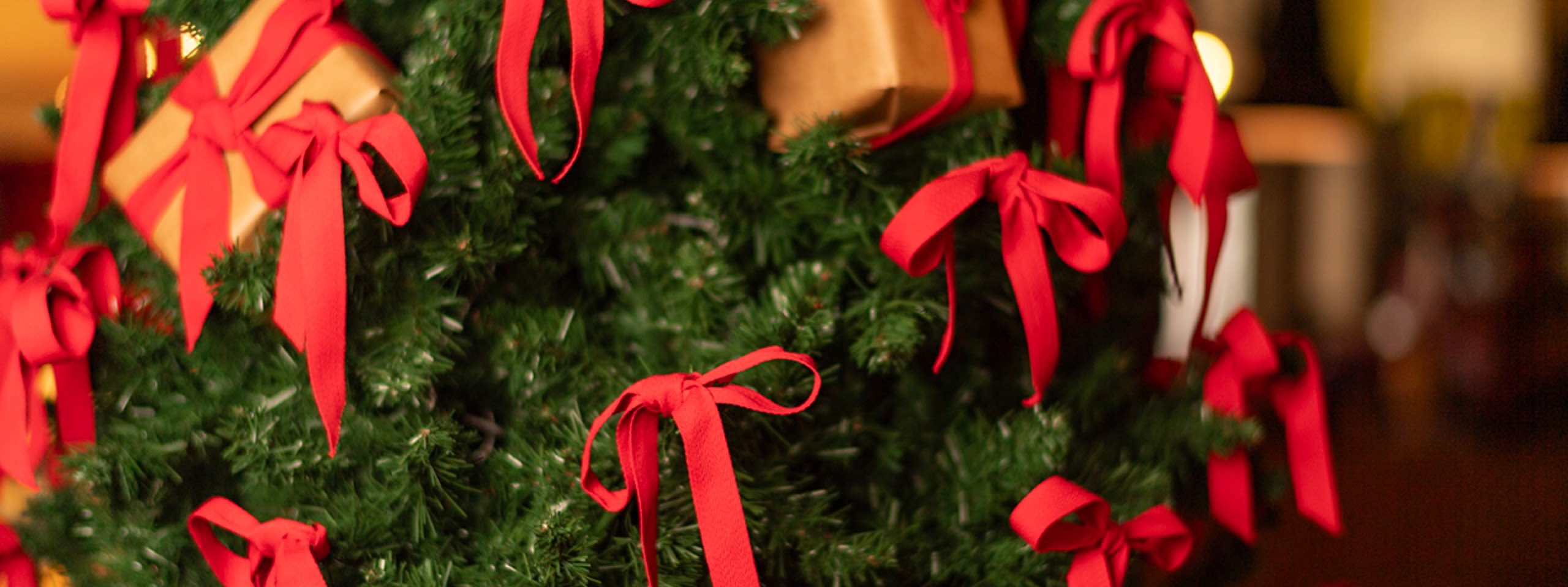 Festive Season at Hay Street Market | City of Sydney - What’s On