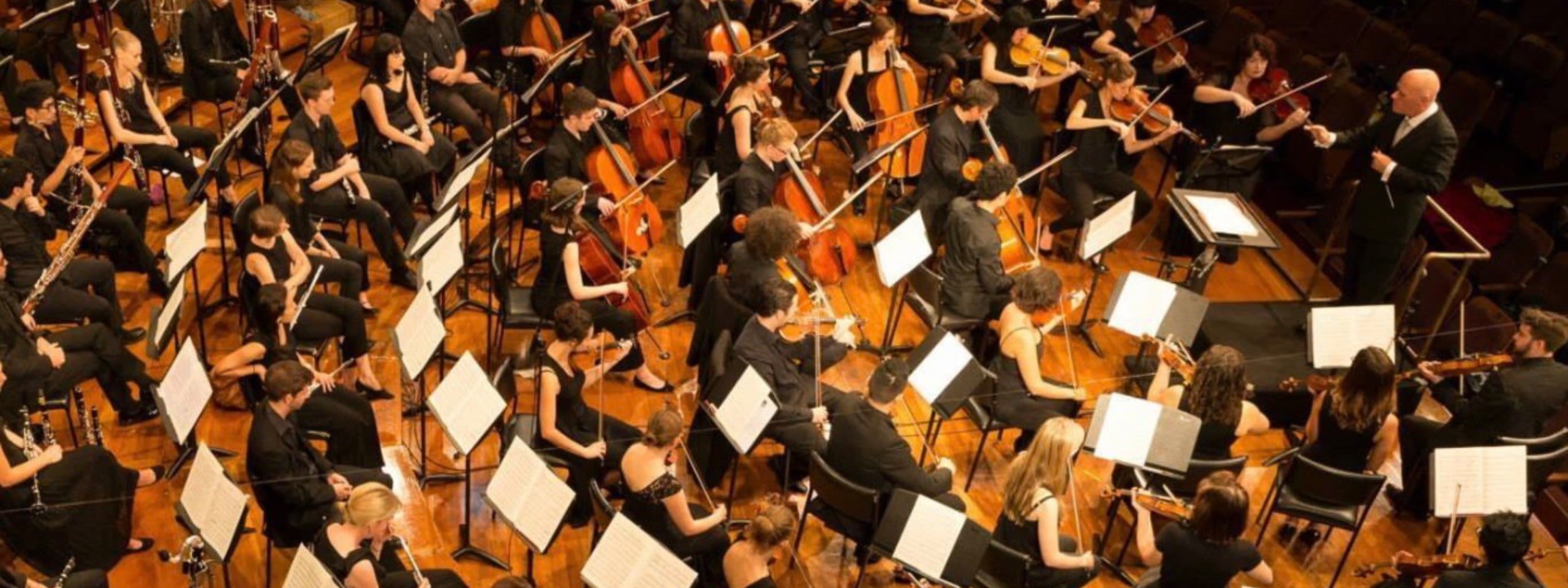 The Orchestra Projects Performs Wagner Strauss and Adams | City of ...