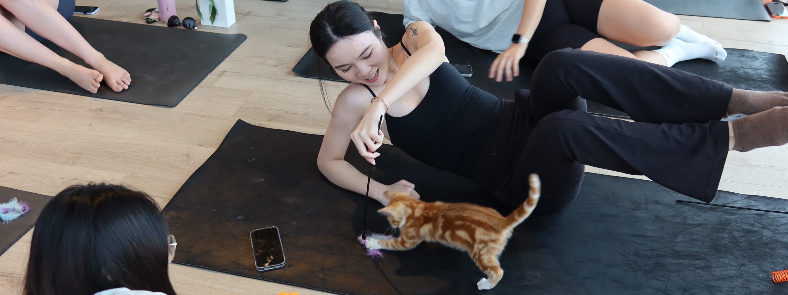 CORE & CLAW - Rescue Kitten Pilates | City of Sydney - What’s On