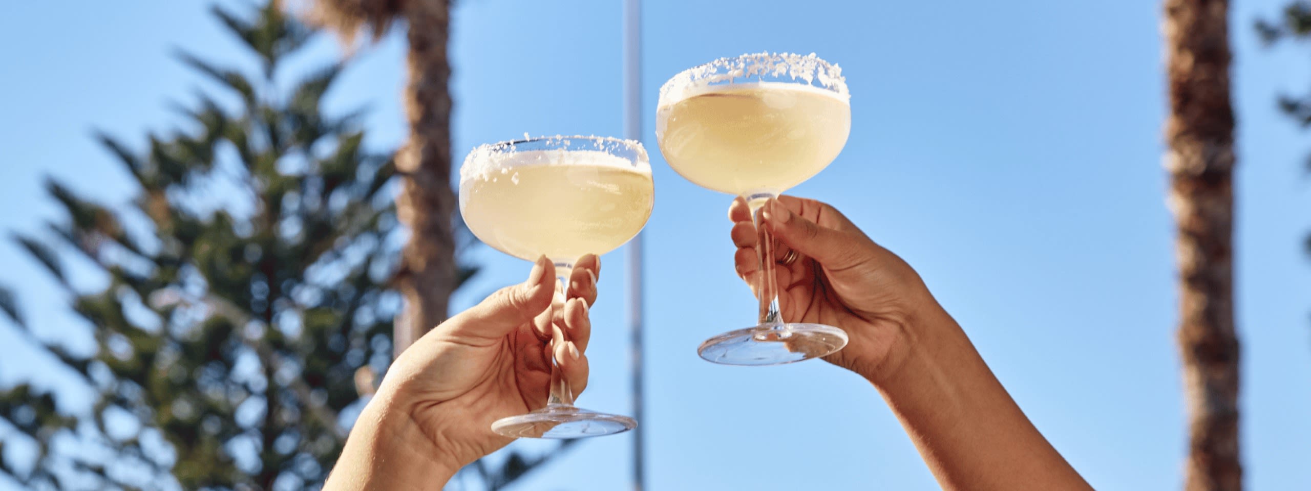 El Arquero Tequila Pop-Up at Salty's Bondi | City of Sydney - What’s On