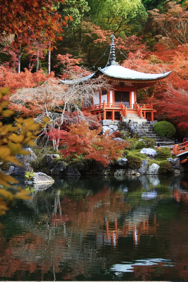 What To Do In Kyoto This Fall - The Ultimate Autumn Kyoto