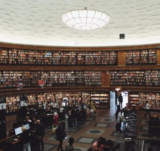 Things to do in Stockholm this fall | City Unscripted