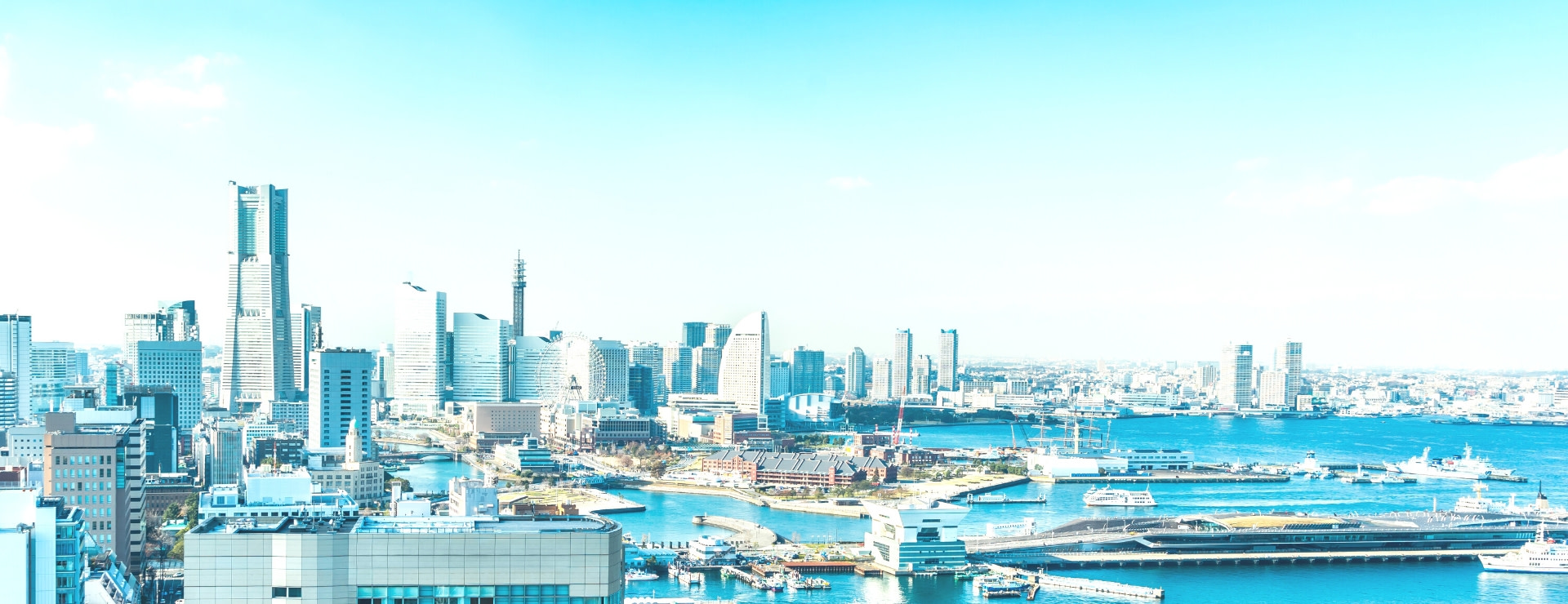 Tokyo Shore Excursion | Private Tour | City Unscripted