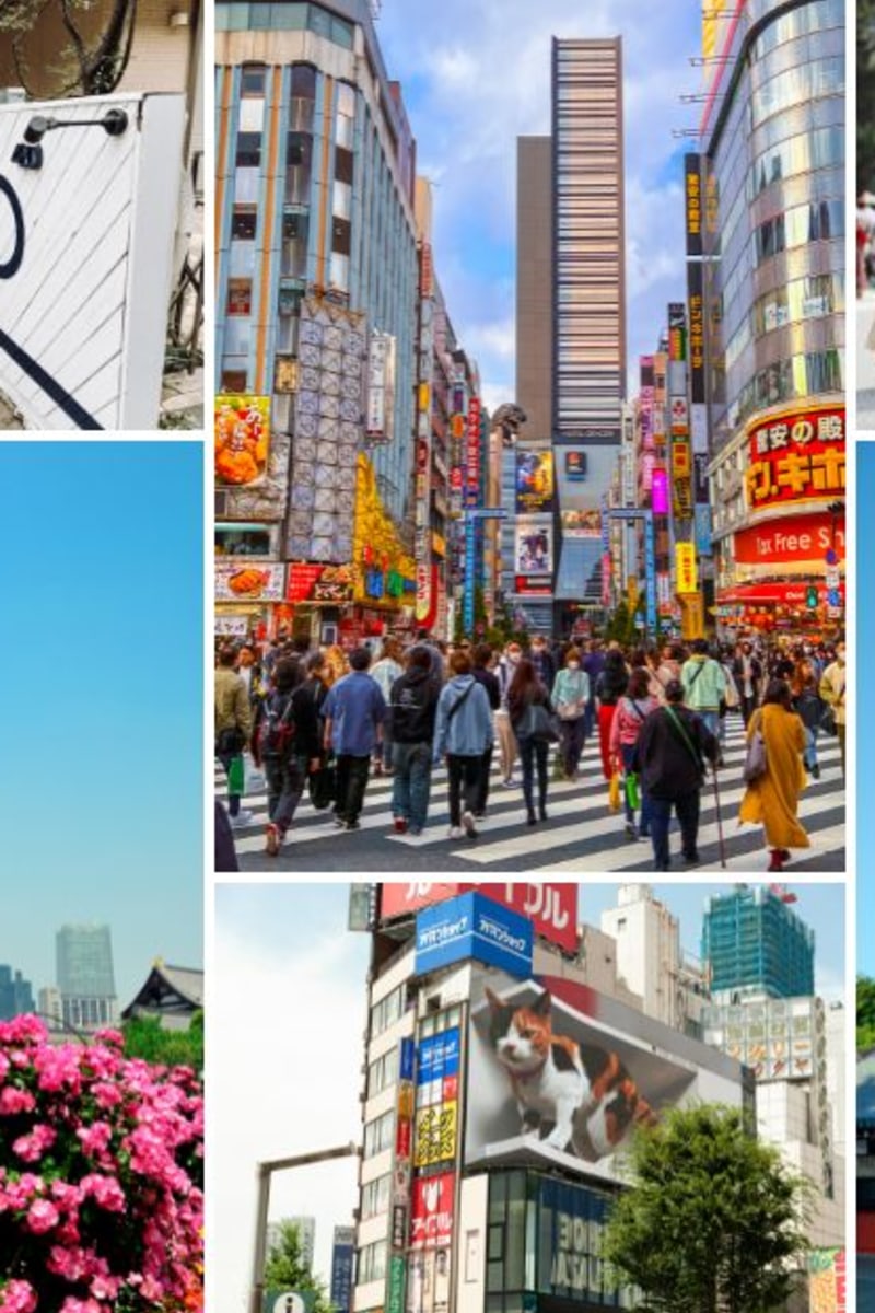 Local's Guide to Spending 24 Hours in Tokyo | City Unscripted