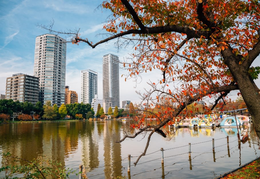 Seasonal Tokyo Walking Tours: Local Guide | City Unscripted