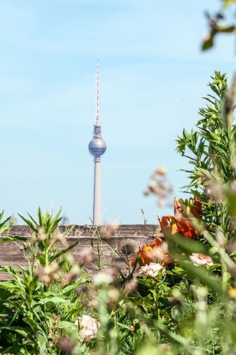 Berlin Summer Guide | City Unscripted