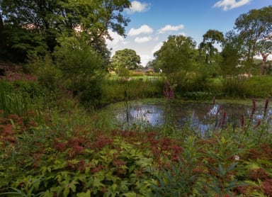 10 Hidden Gems in Manchester | City Unscripted