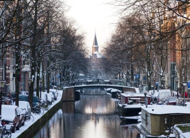 Best time to visit Amsterdam | City Unscripted