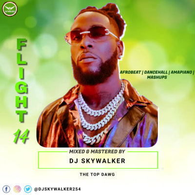 DJ Skywalker - Flight 14