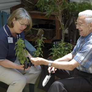 The Great Outdoors - Container Gardening and Senior Health