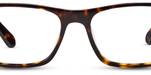 eyeglasses for men | ClassicSpecs.com