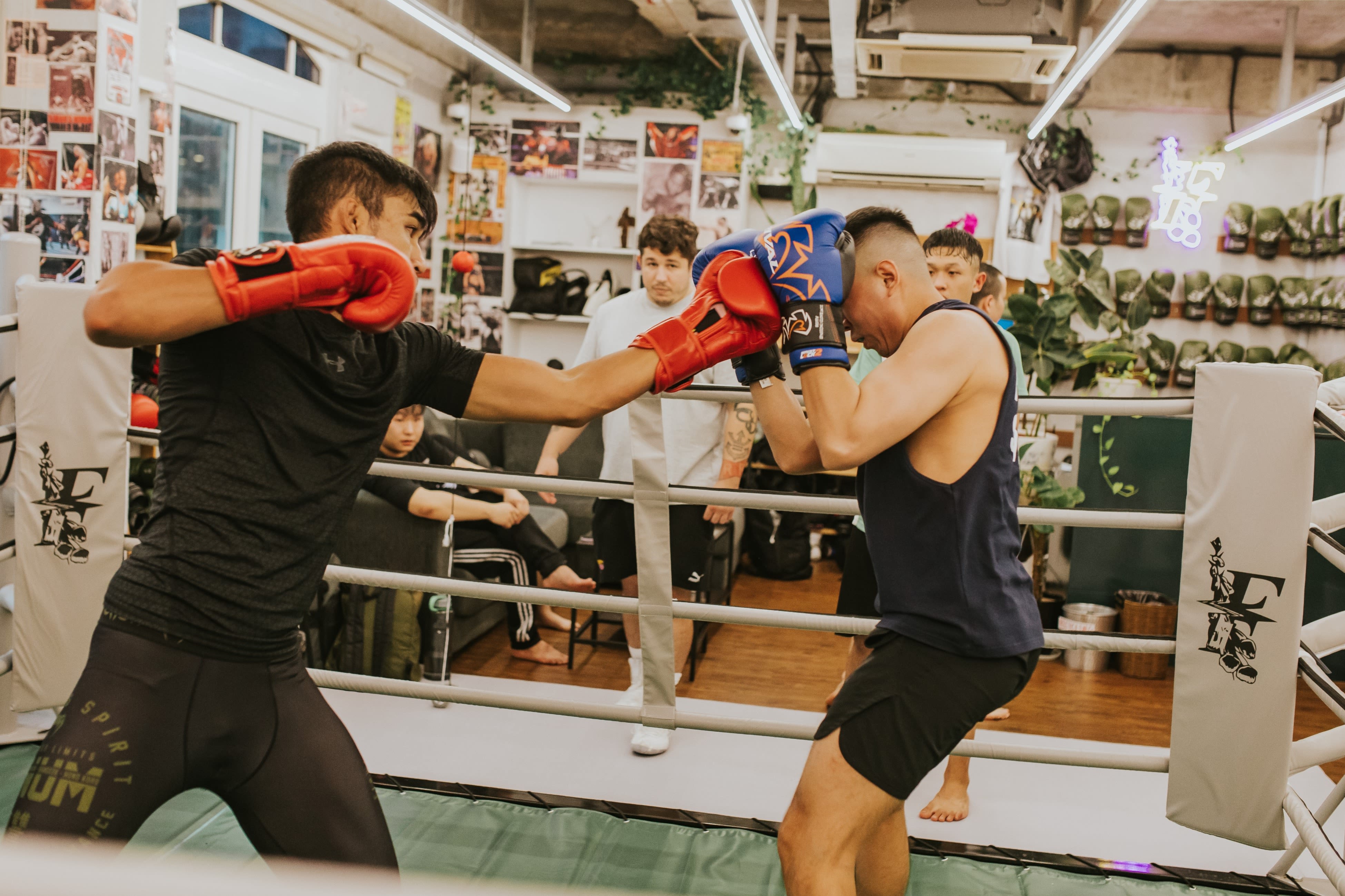Top 10 Boxing Classes In Singapore ClassPass Top 10 Boxing Classes In Singapore ClassPass