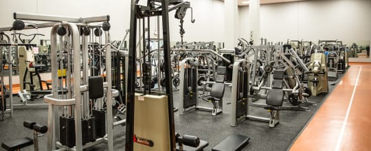 Texas FITT: Read Reviews and Book Classes on ClassPass