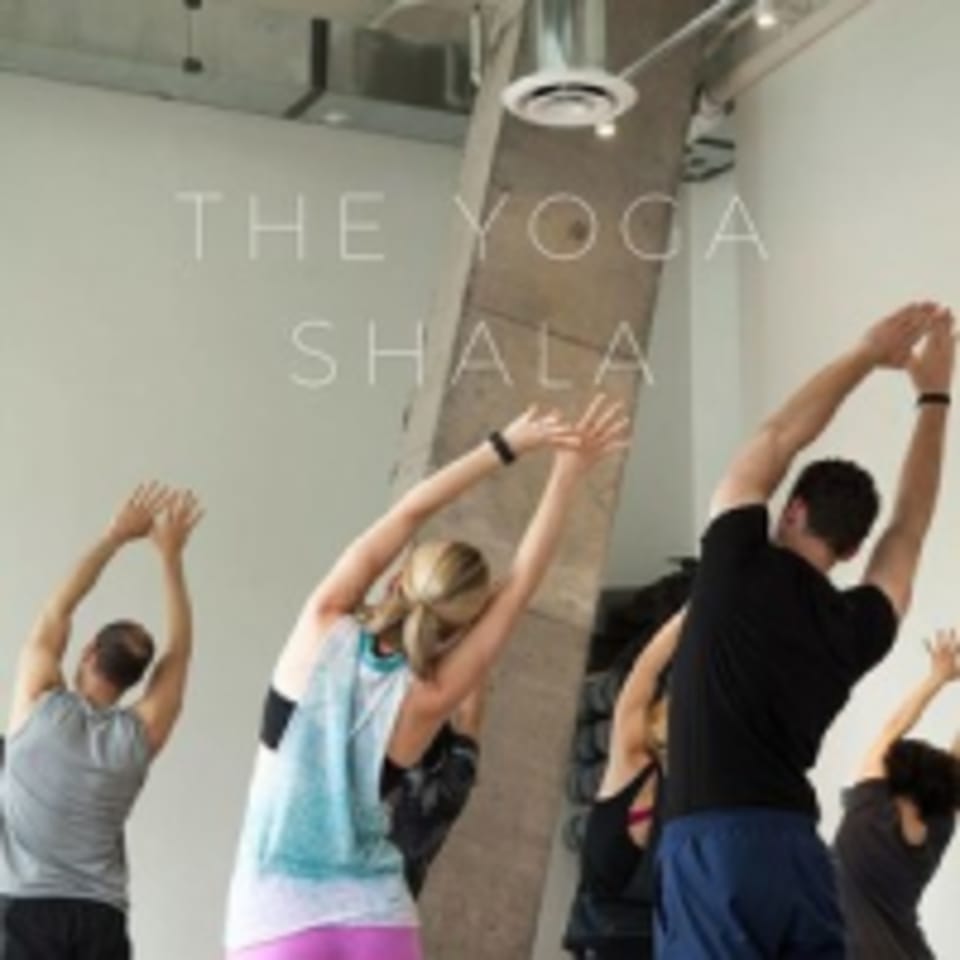 The Yoga Shala: Read Reviews and Book Classes on ClassPass