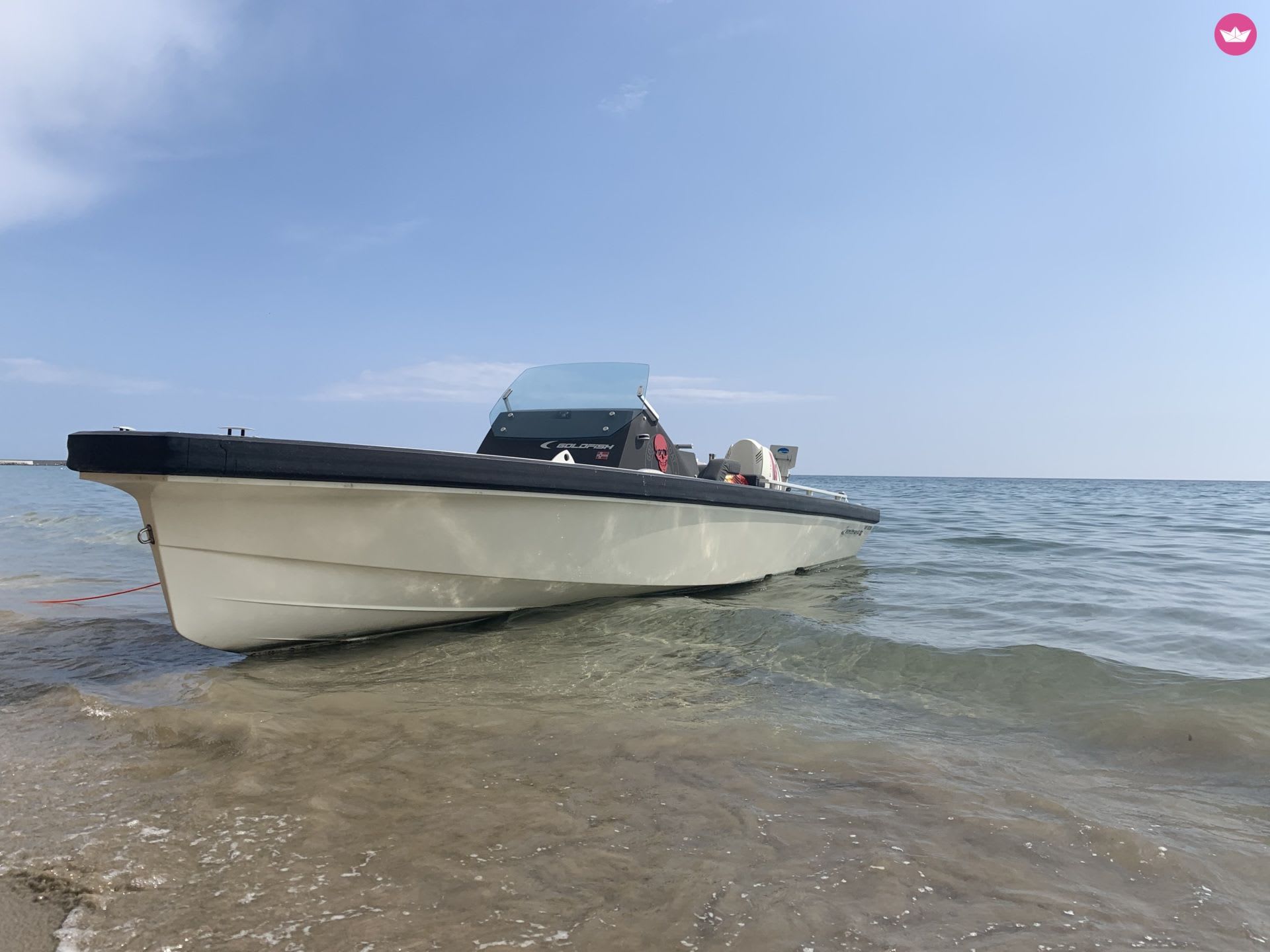 Excursión al océano - Conoce a los delfines (4 horas) - Click&Boat