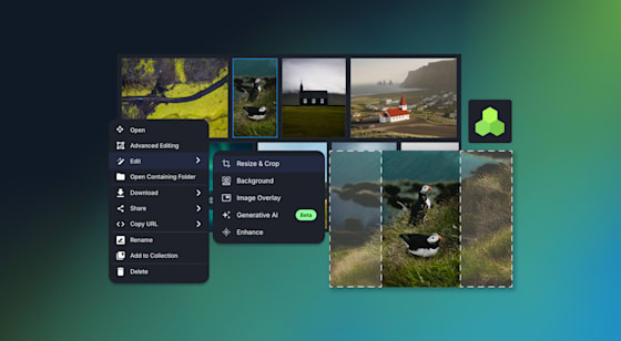 Handle Image Asset Bundling using Vite in React Handle Image Asset Bundling using Vite in React