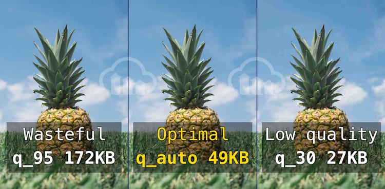 Compress an Image Automatically Without Losing Quality