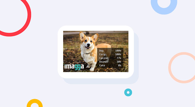 Automatic Image Tagging and Categorization Using Imagga Api