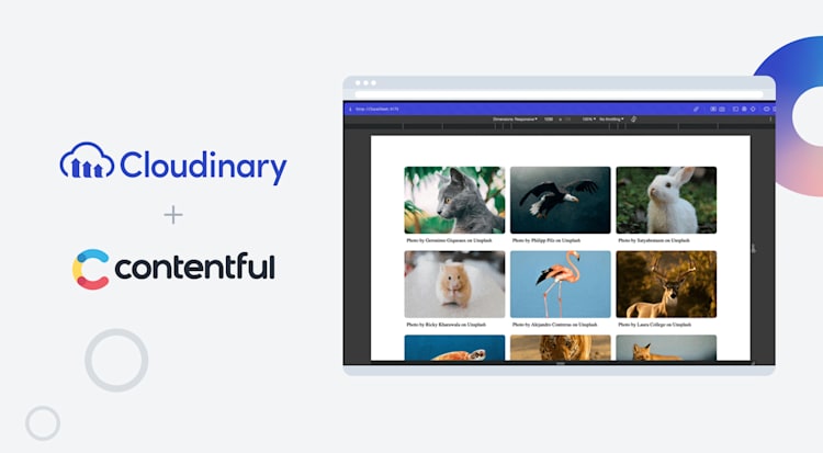 Integrating Contentful and Cloudinary to Build an Image Gallery