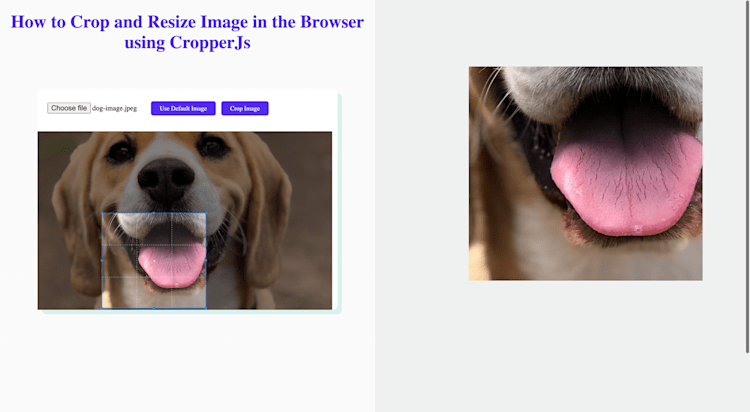 How to Crop and Resize Image in the Browser