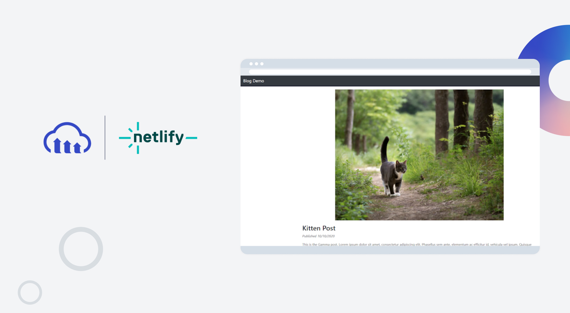 Cloudinary and Netlify Integration: Optimize Your Images