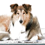 How to Better Preprocess Images for Deep Learning in Python