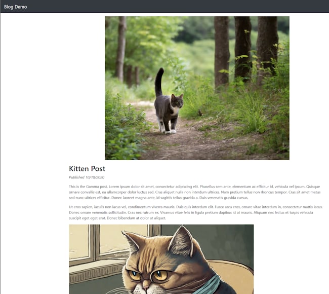 Cloudinary and Netlify Integration: Optimize Your Images