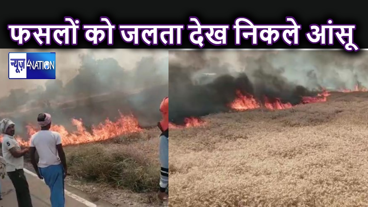 80 बीघे में लगी गेहूं की फसल जलकर राख, अपनी मेहनत को बर्बाद होता देखते रह गए किसान