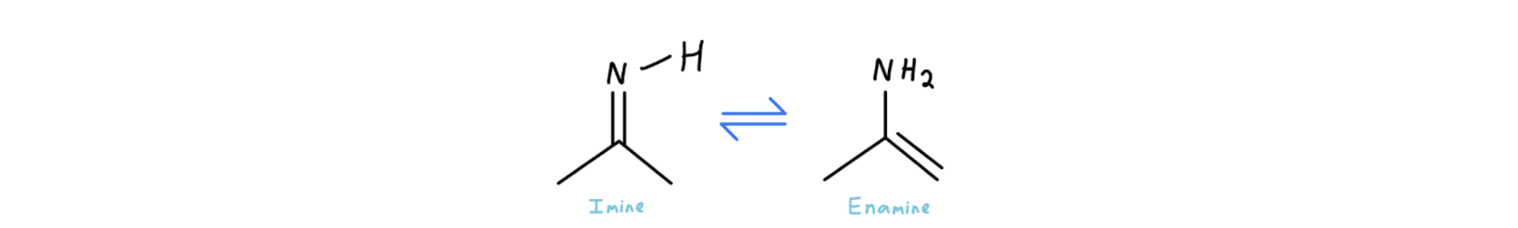 Imine vs Enamine - Organic Chemistry Video | Clutch Prep