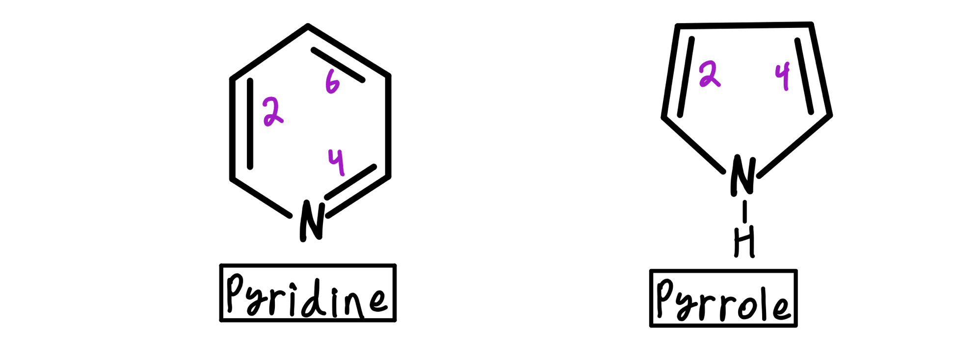 Huckel's Rule - Organic Chemistry Video | Clutch Prep