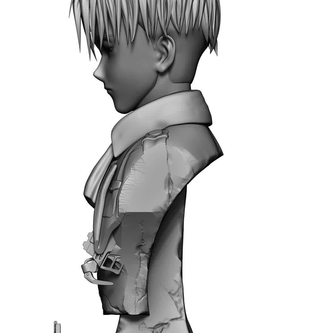CO3D - LEVI ACKERMAN, ATACK ON TITAN CO3D - LEVI ACKERMAN, ATACK ON TITAN