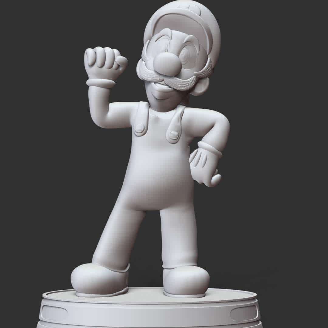 CO3D - Luigi - The Super Mario