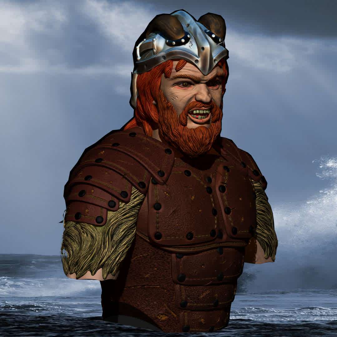 CO3D - Viking Bust