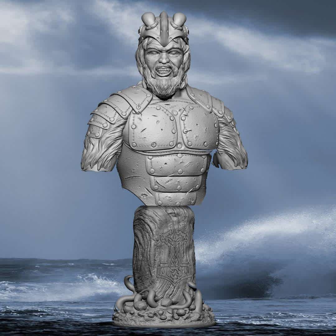 CO3D - Viking Bust