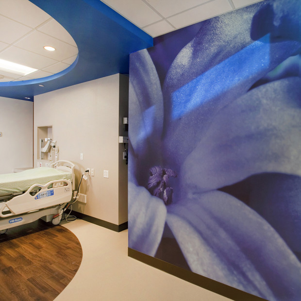 Project: The Mother Baby Center at Abbott Northwestern Hospital - CODAworx Project: The Mother Baby Center at Abbott Northwestern Hospital - CODAworx