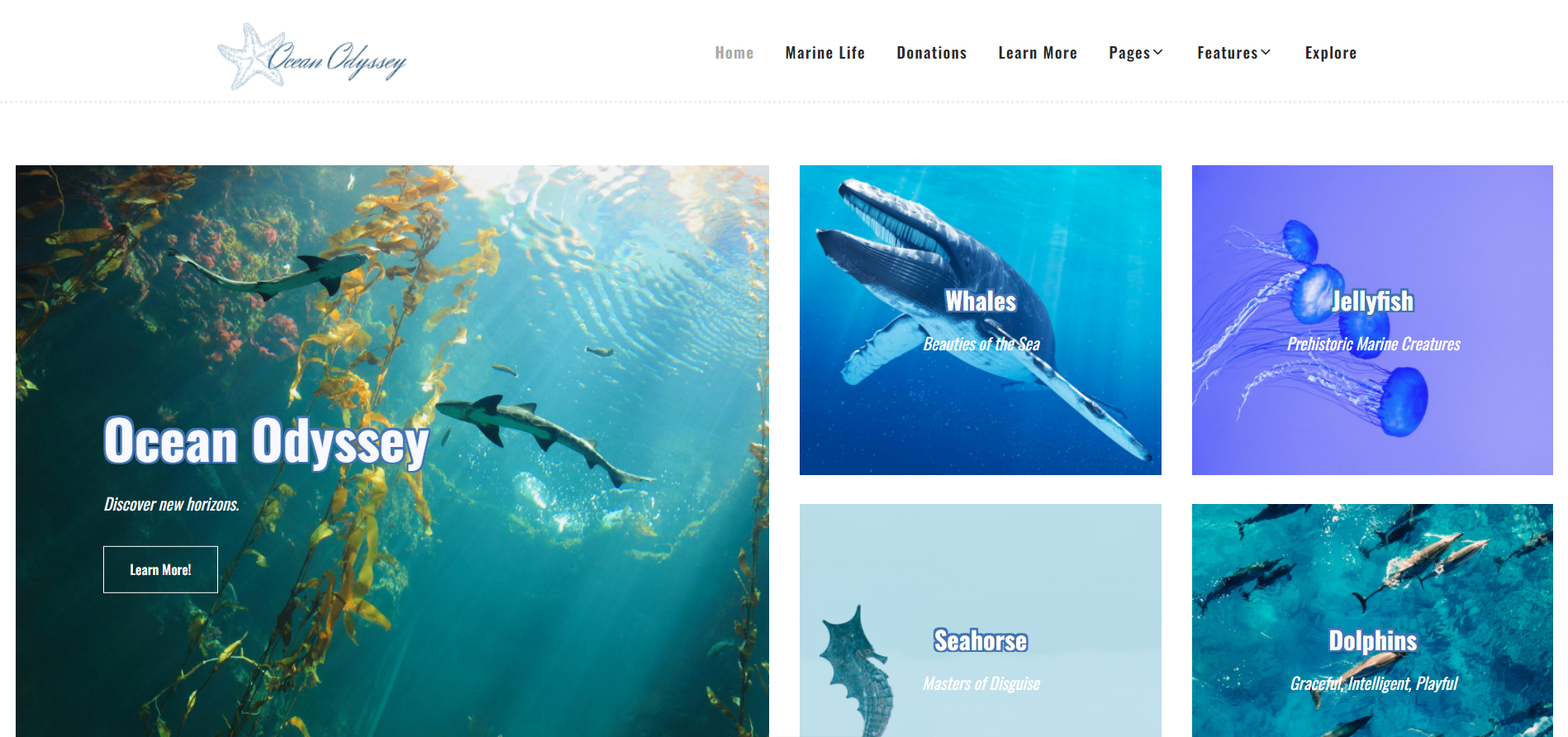 GitHub - CodeLikeAGirl29/ocean-odyssey: Diving into the Wonders of ...